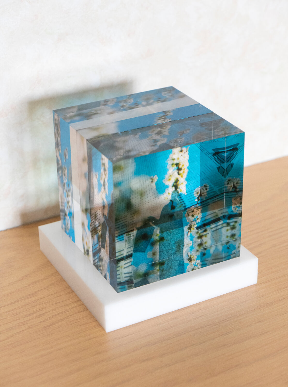 Transparent bodies - switch（Japan Only） – ARTiATE