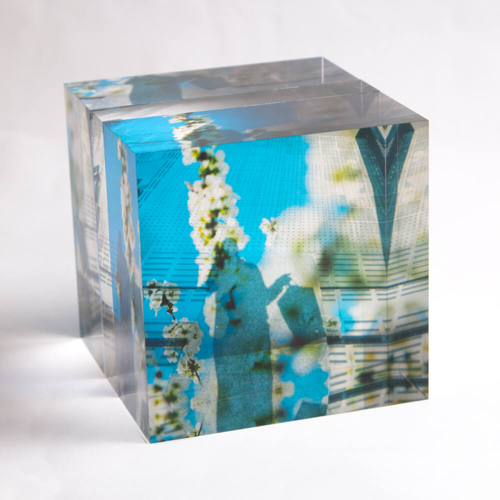 Transparent bodies - switch（Japan Only） – ARTiATE